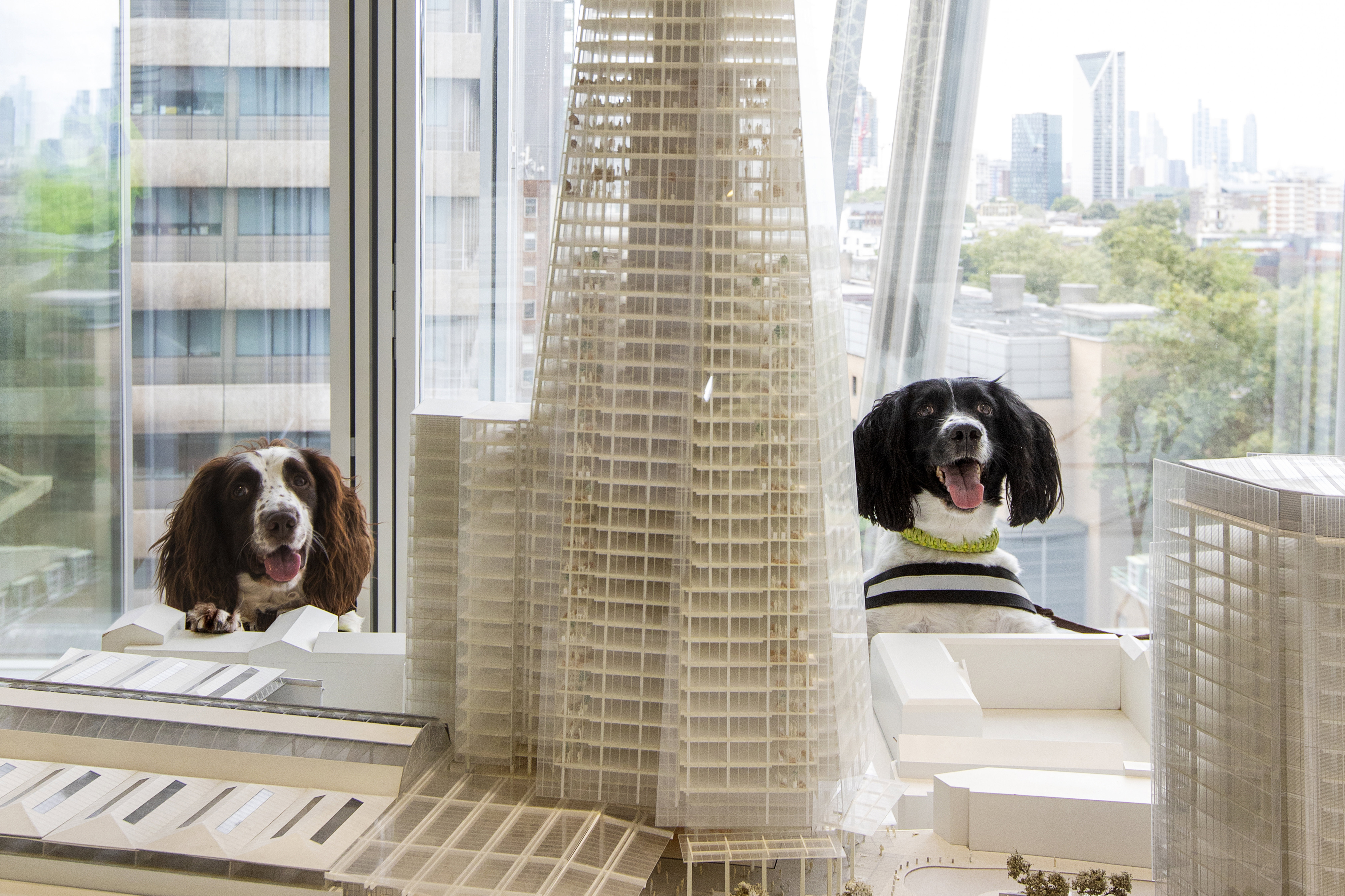 The Shard: Inspiring change