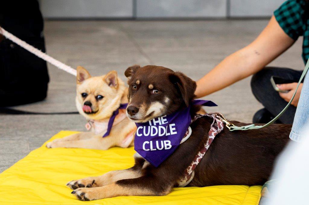 Wellness Week at The Shard